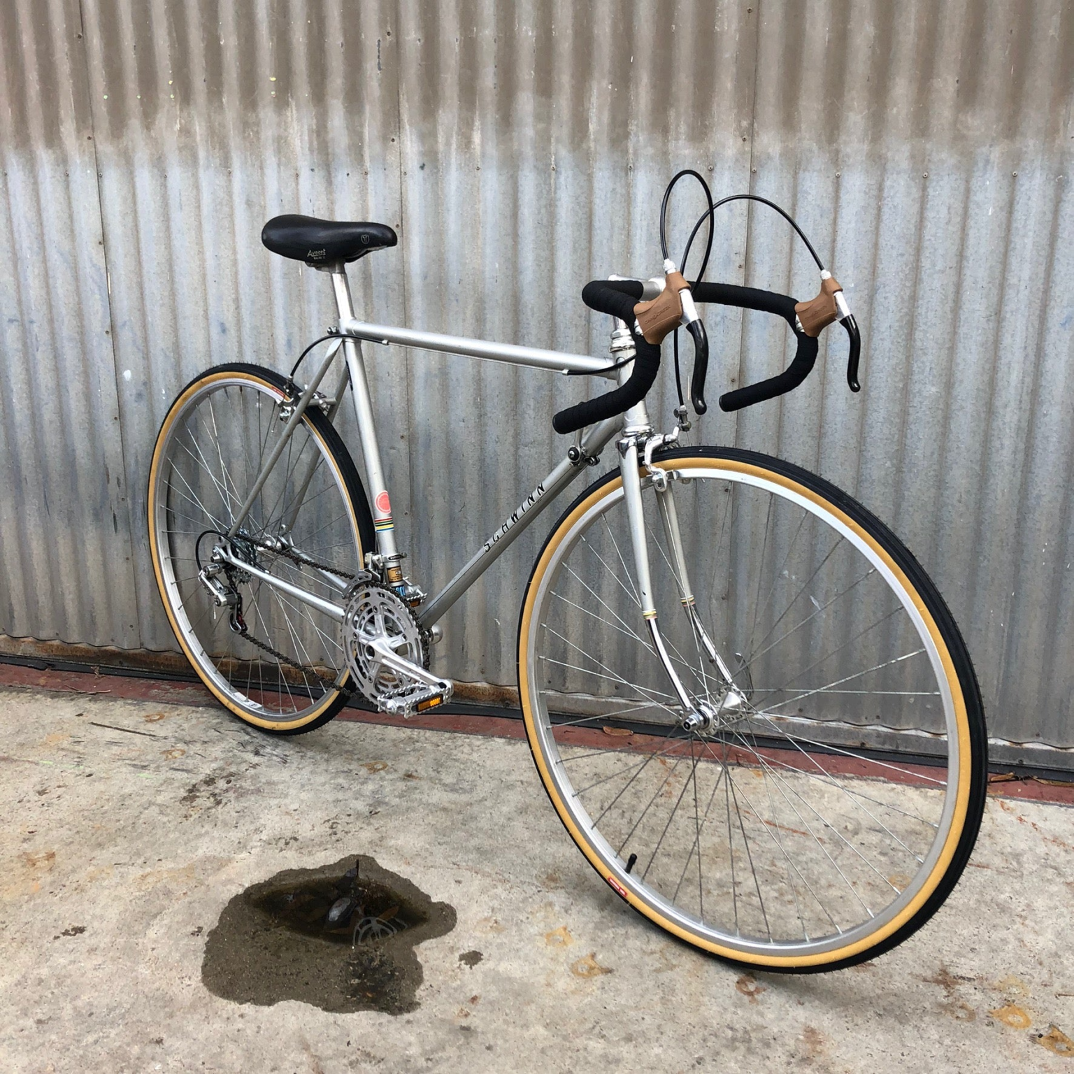 Schwinn Road Bikes: A Comprehensive Guide